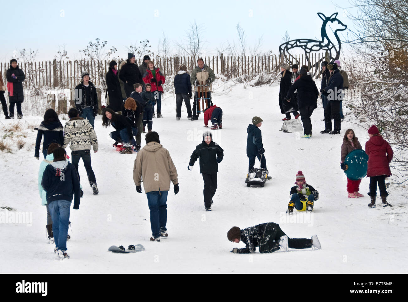 Sledging and games in the snow Stock Photo - Alamy