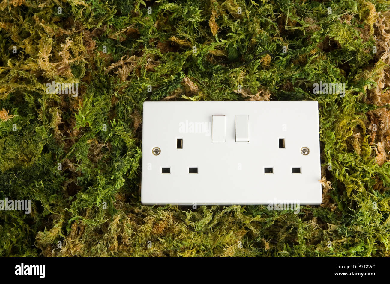 Plug socket in moss Stock Photo - Alamy
