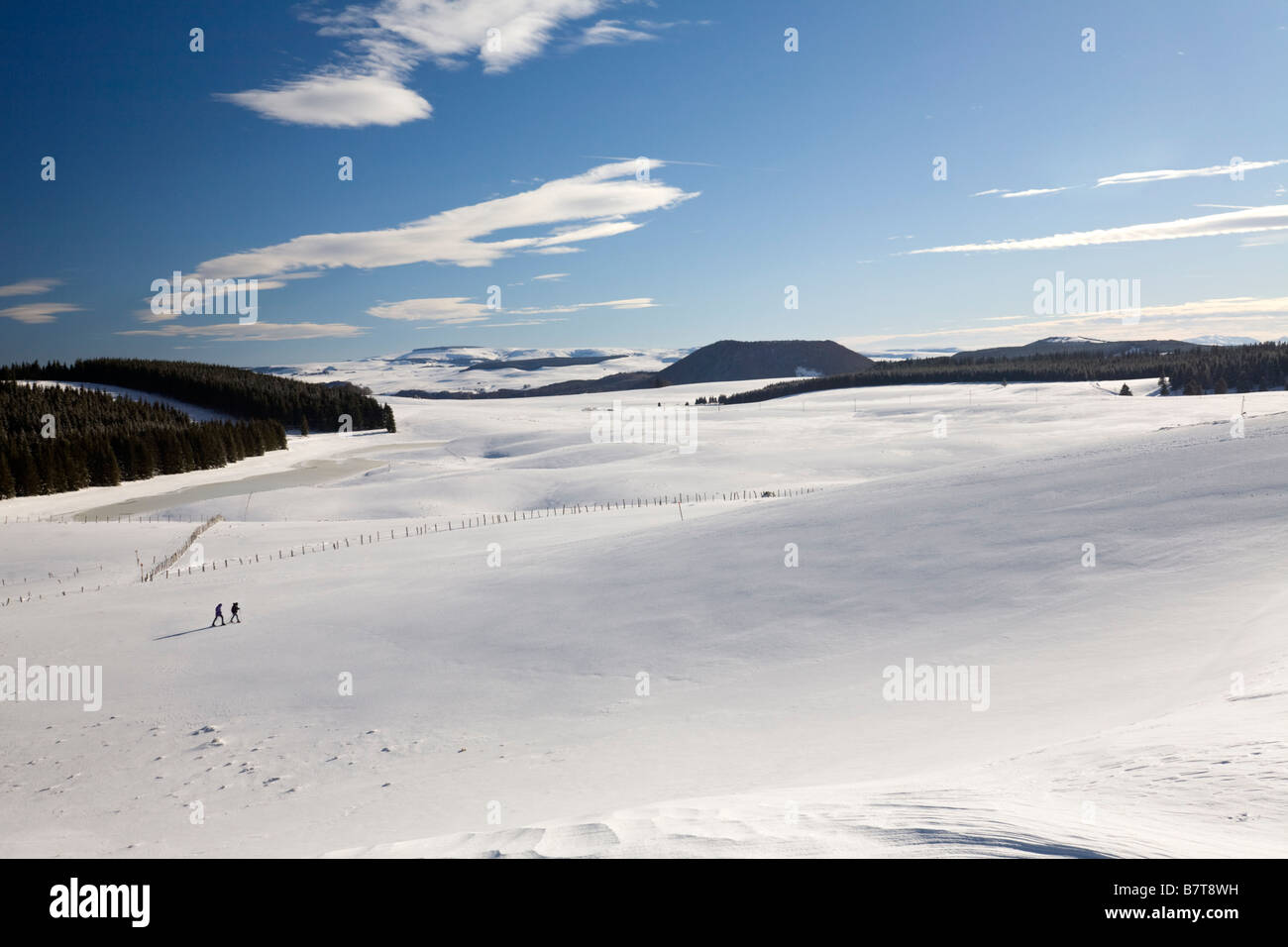 A wintry scenery in Auvergne (Puy de Dôme - France). Paysage d'Auvergne ...