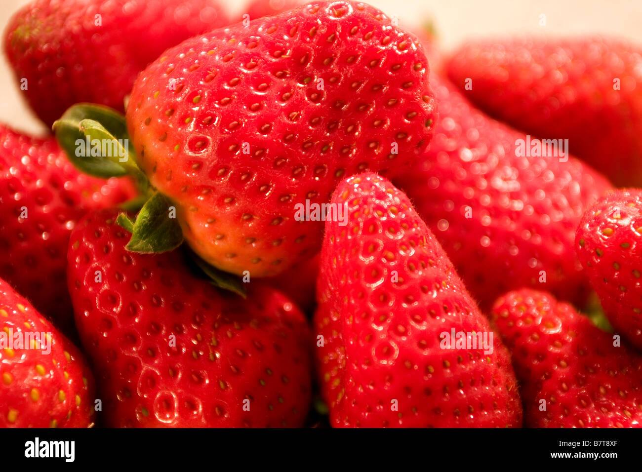 close up photo of fresh strawberries Stock Photo - Alamy