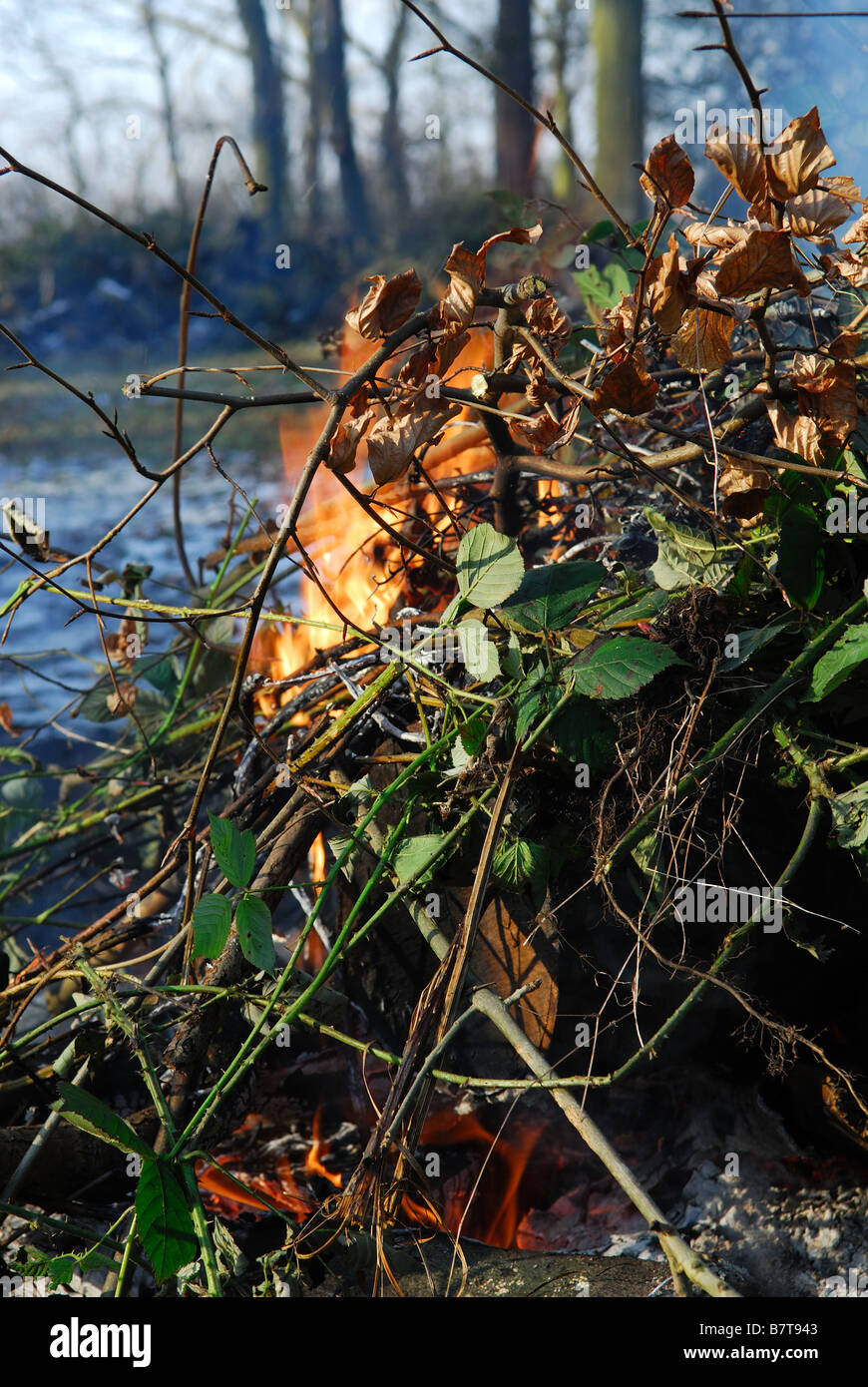Winter garden bonfire hi-res stock photography and images - Alamy