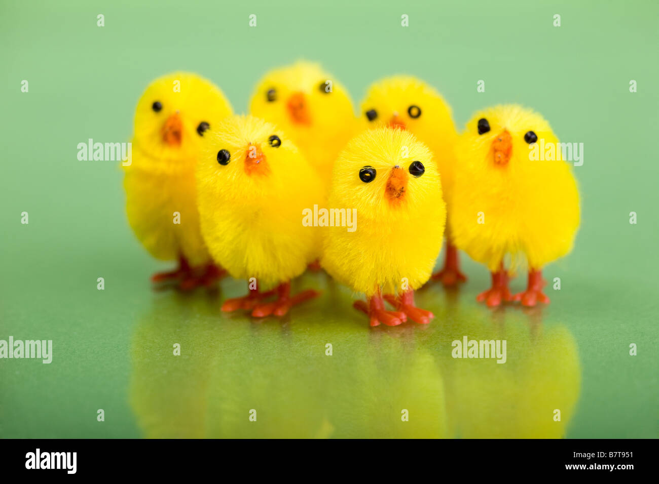 Happy Easter Group of funny cute yellow chickens over fresh green ...