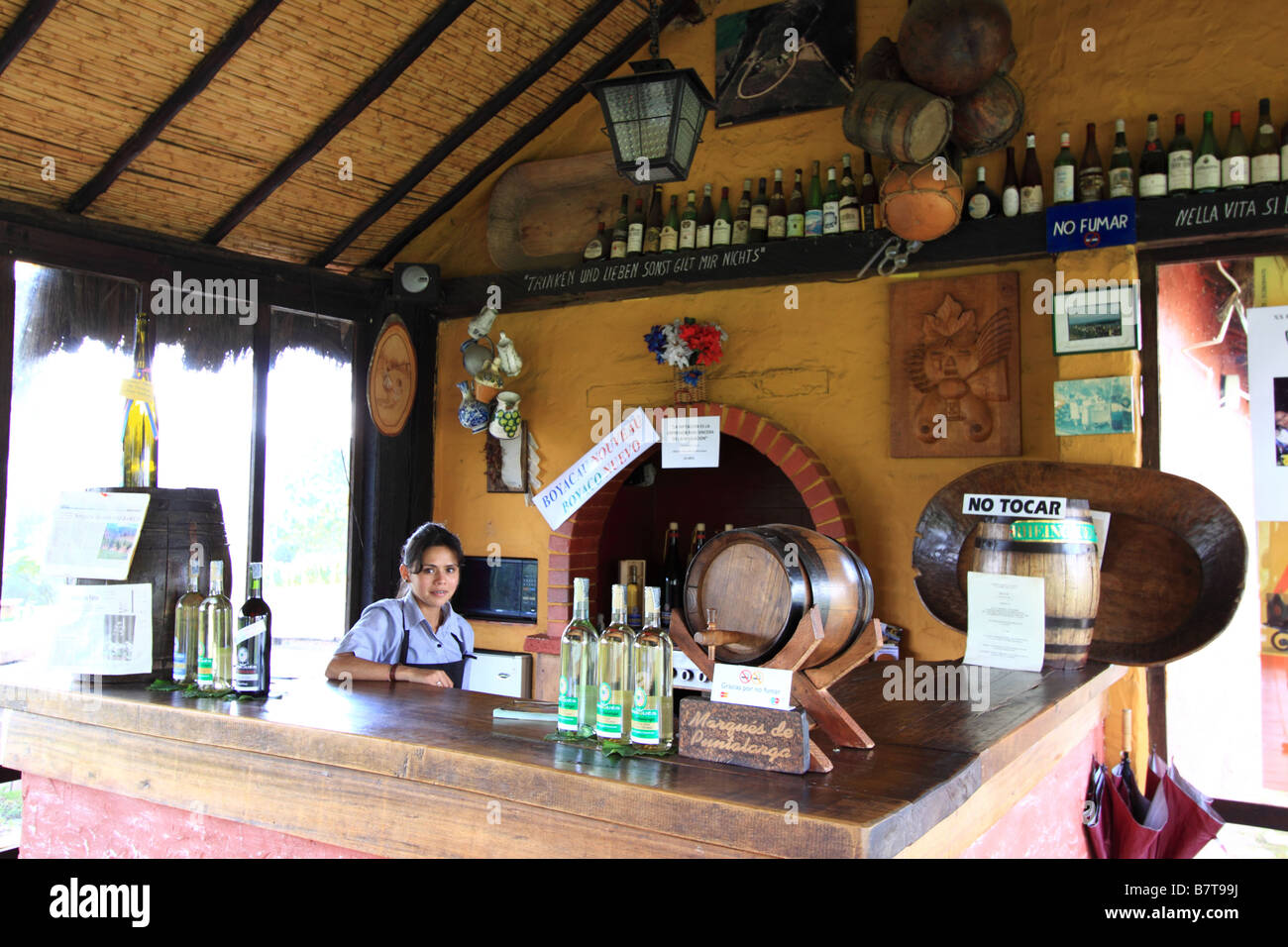 Vine plantations in vineyard hi-res stock photography and images - Alamy