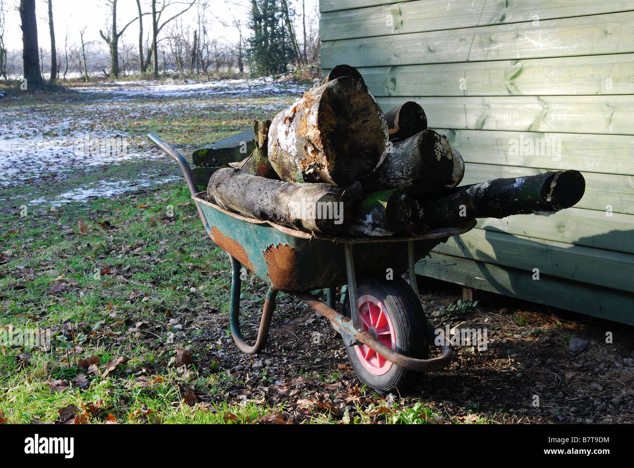 Wheelbarrow with Logs Stock Photo - Alamy