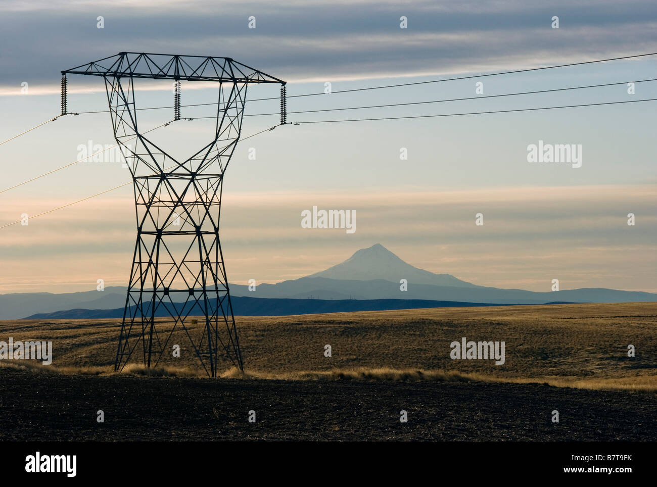 High power lines Mount Hood Oregon USA Stock Photo - Alamy