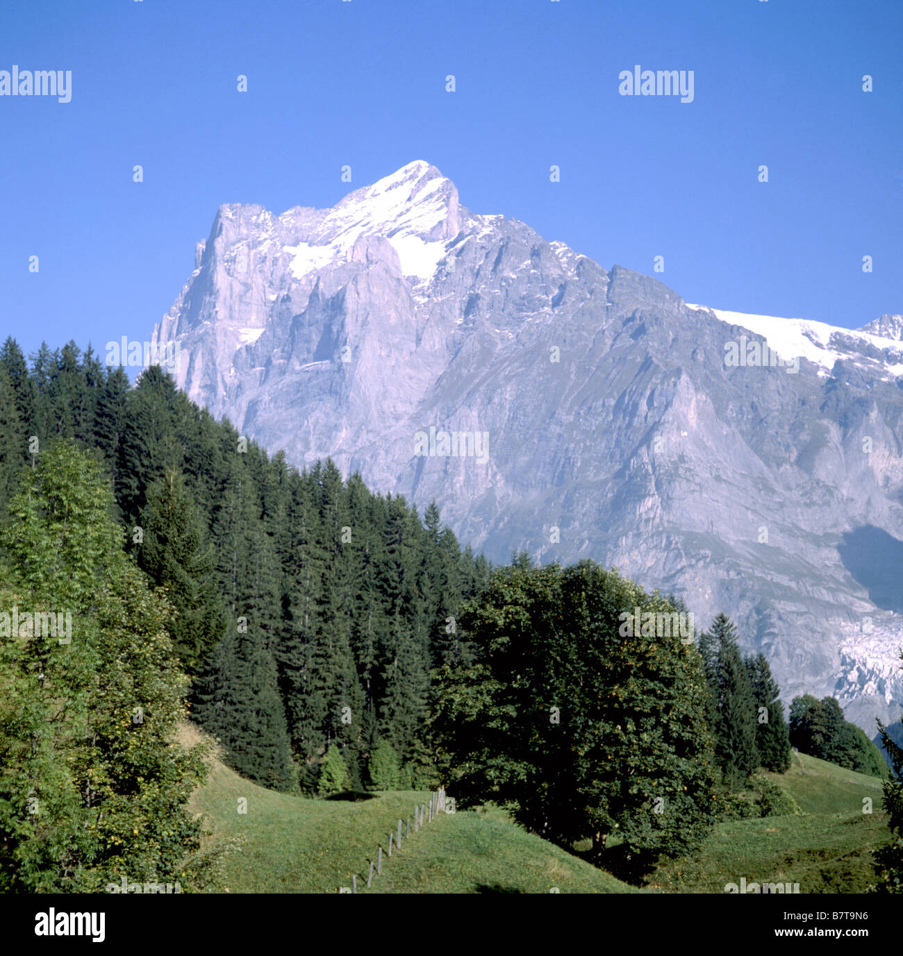 Wetterhorn & country fram Grindelwald Bernese Oberland Switzerland ...