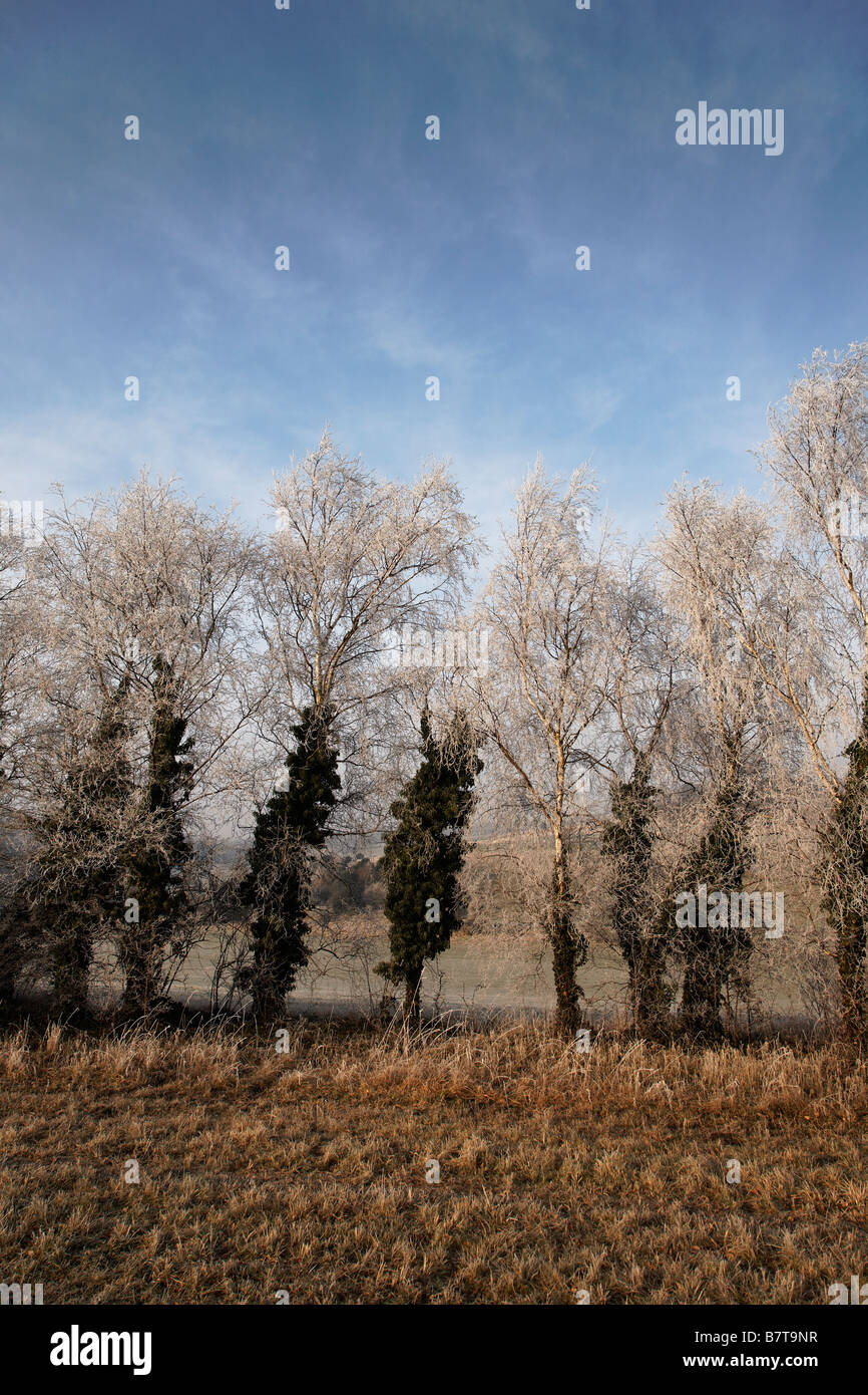 Darenth valley hi-res stock photography and images - Alamy