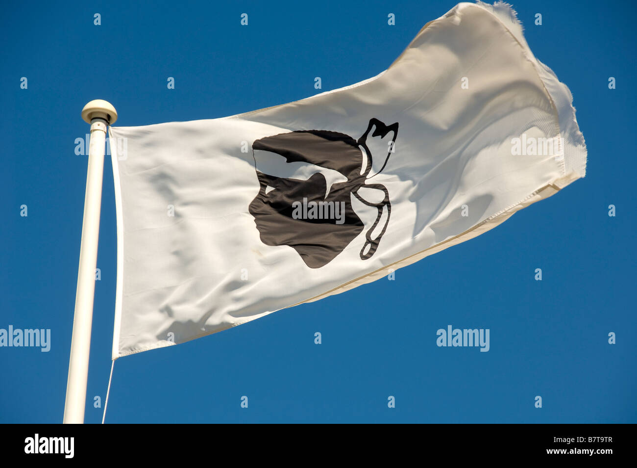 Corsican flag flying on a white flagpole seen against a blue sky Stock ...