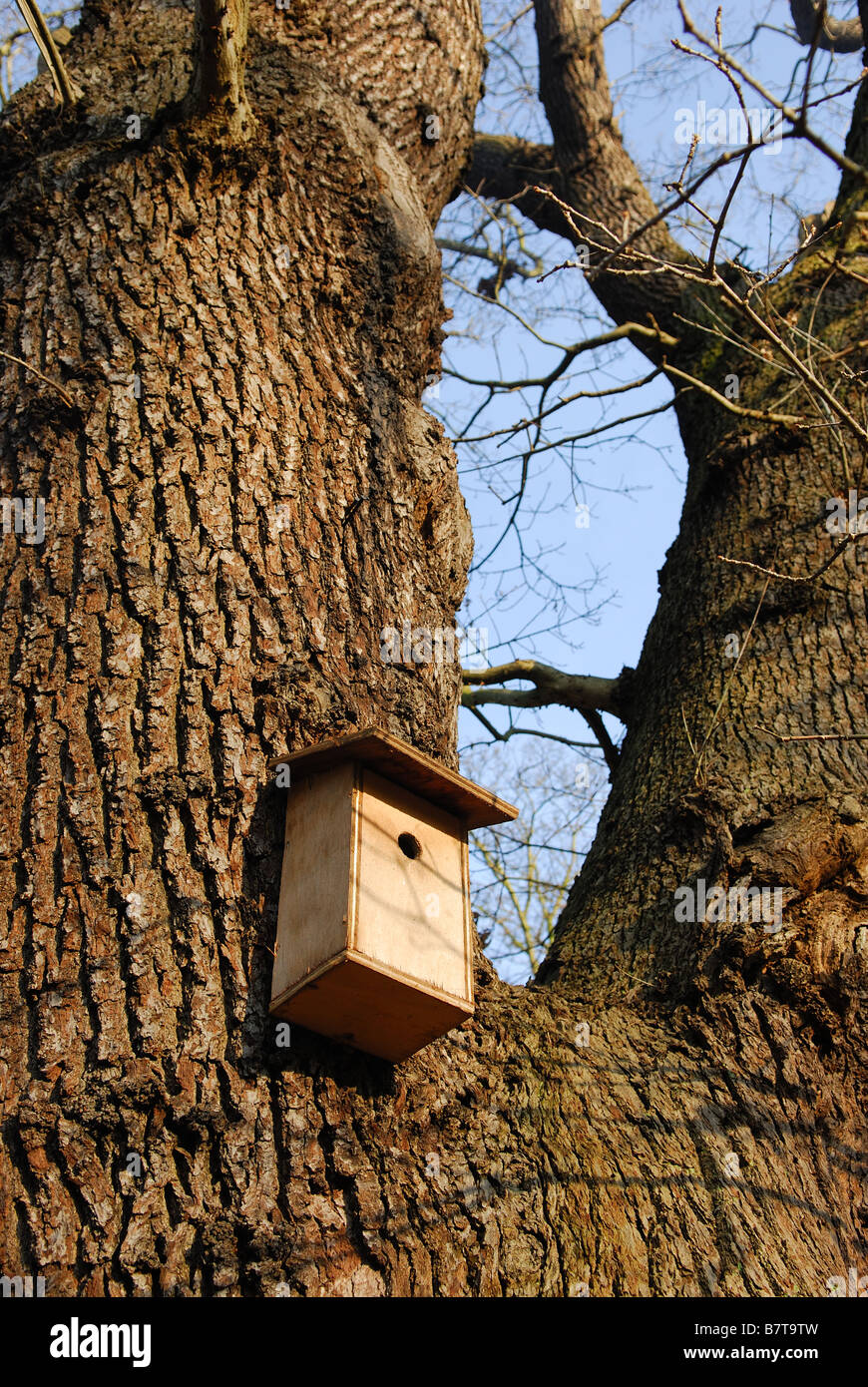 Home breeding hi-res stock photography and images - Alamy