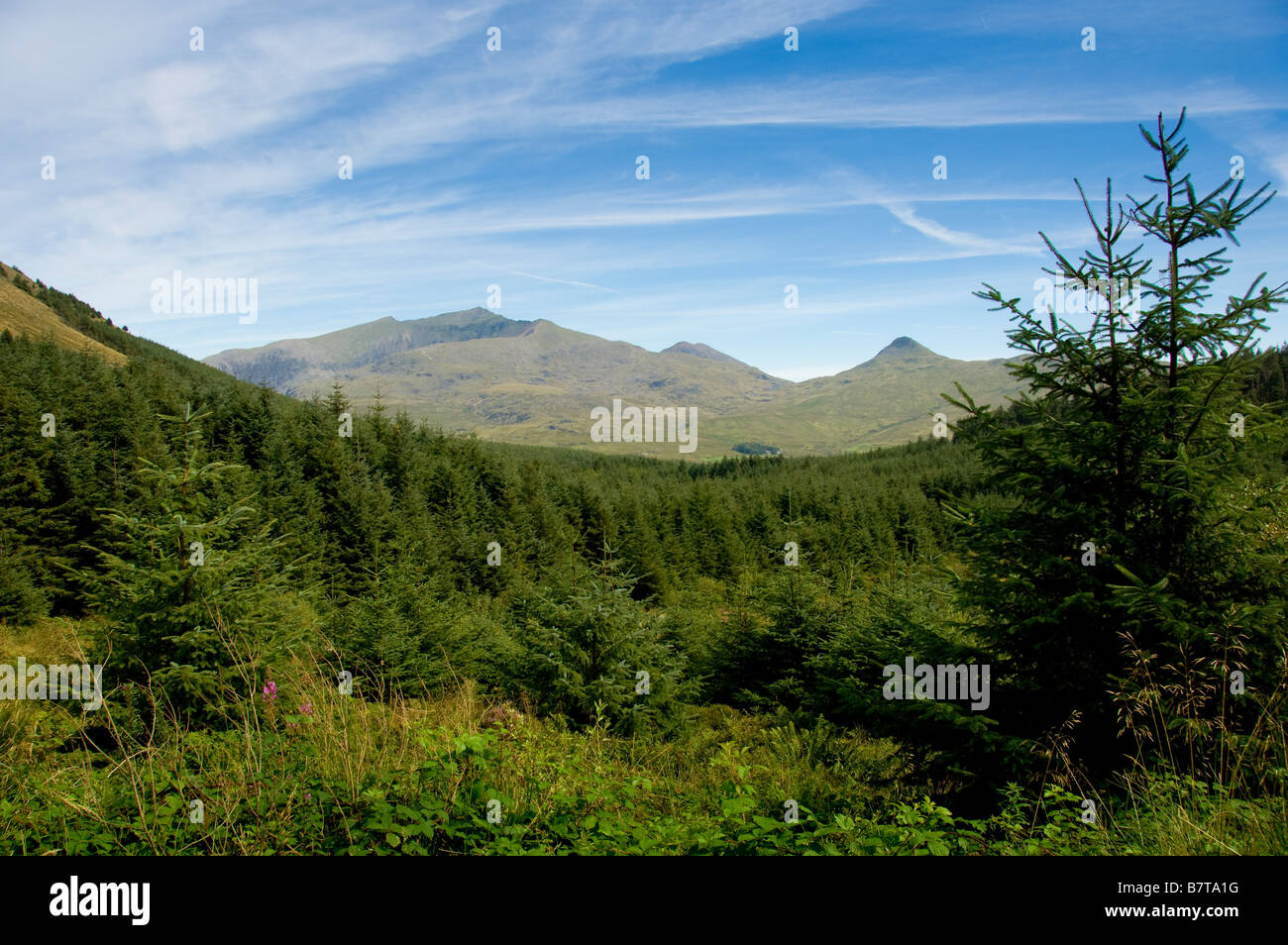 Summit of Snowdon seen from Beddgelert Forest Wales Stock Photo - Alamy