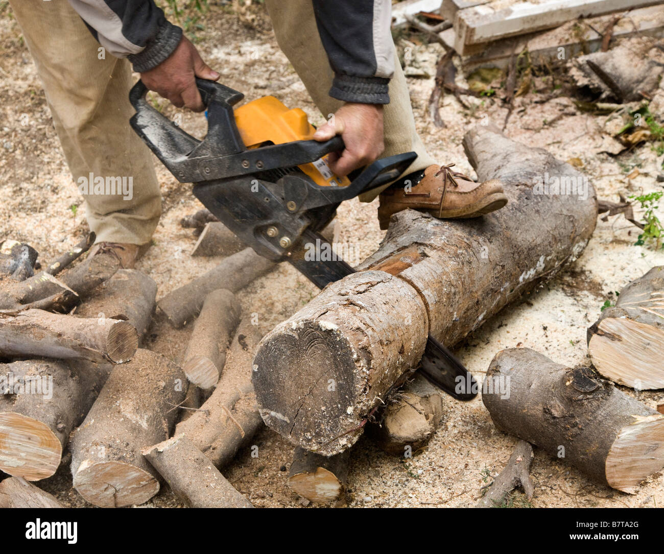 Sawing through wood hi-res stock photography and images - Alamy