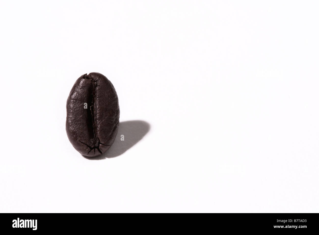 Single coffee bean (close up) on white background Stock Photo - Alamy