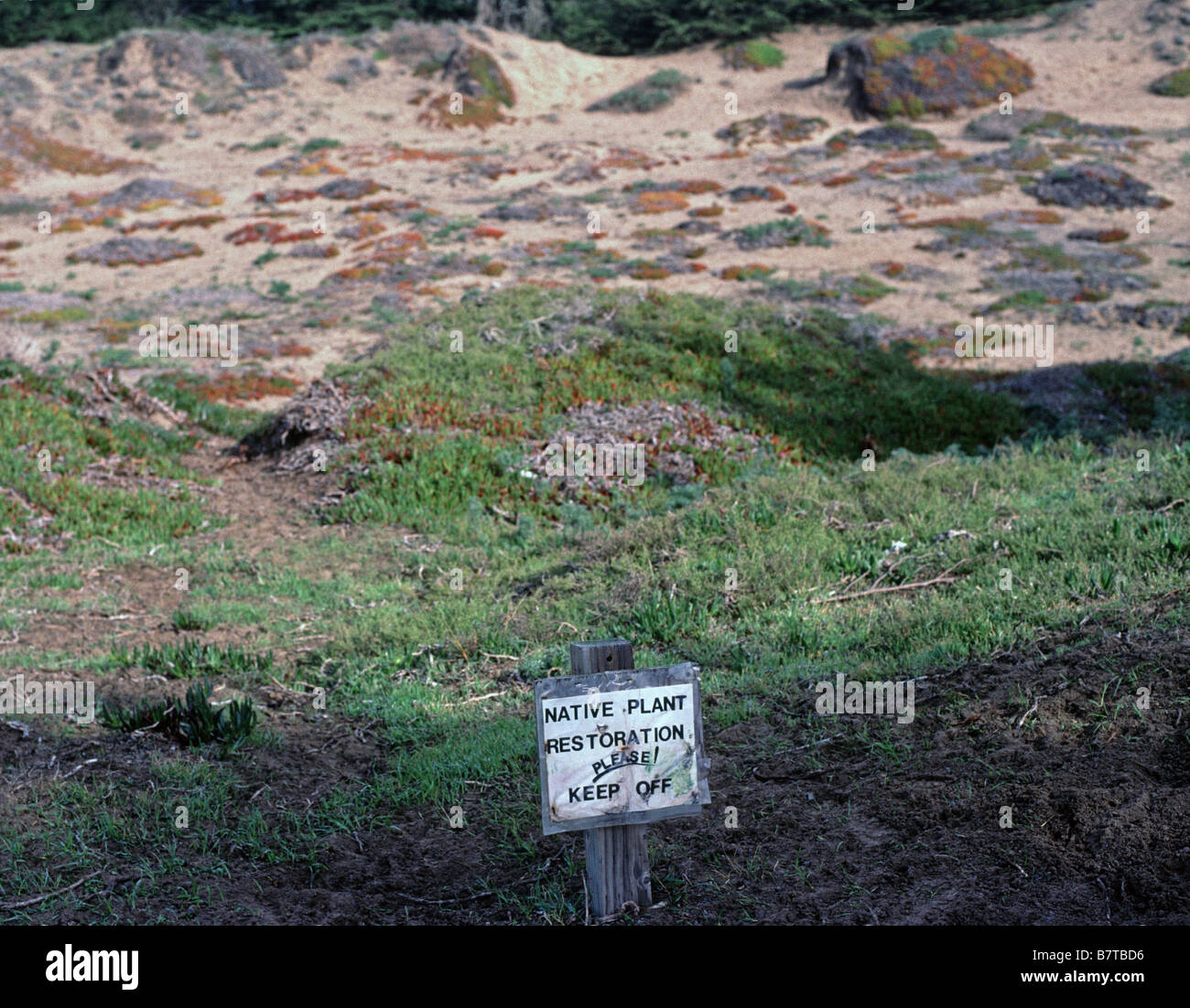 native plant restoration keep off sign Stock Photo - Alamy