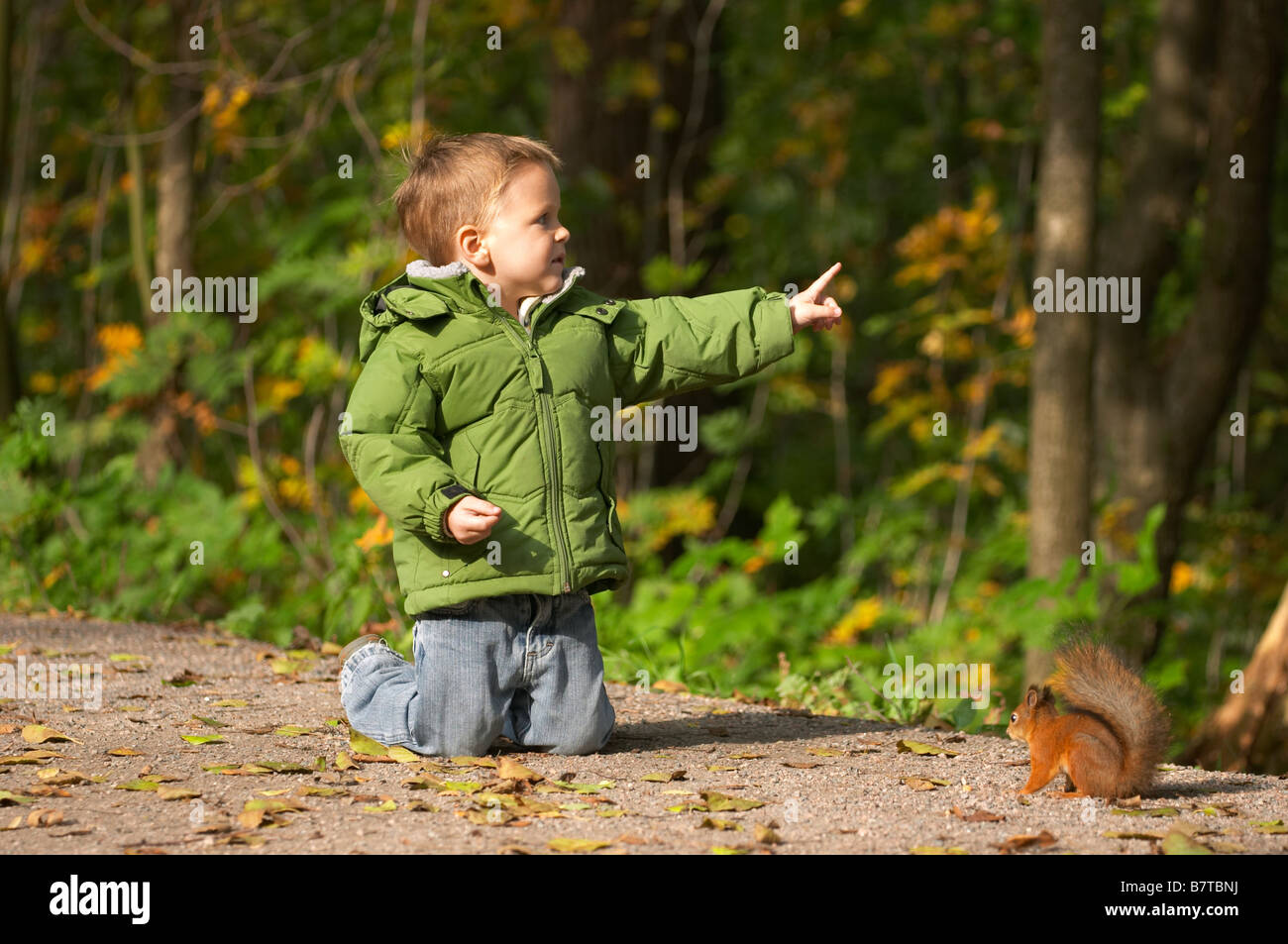 Squirrel boy hi-res stock photography and images - Alamy
