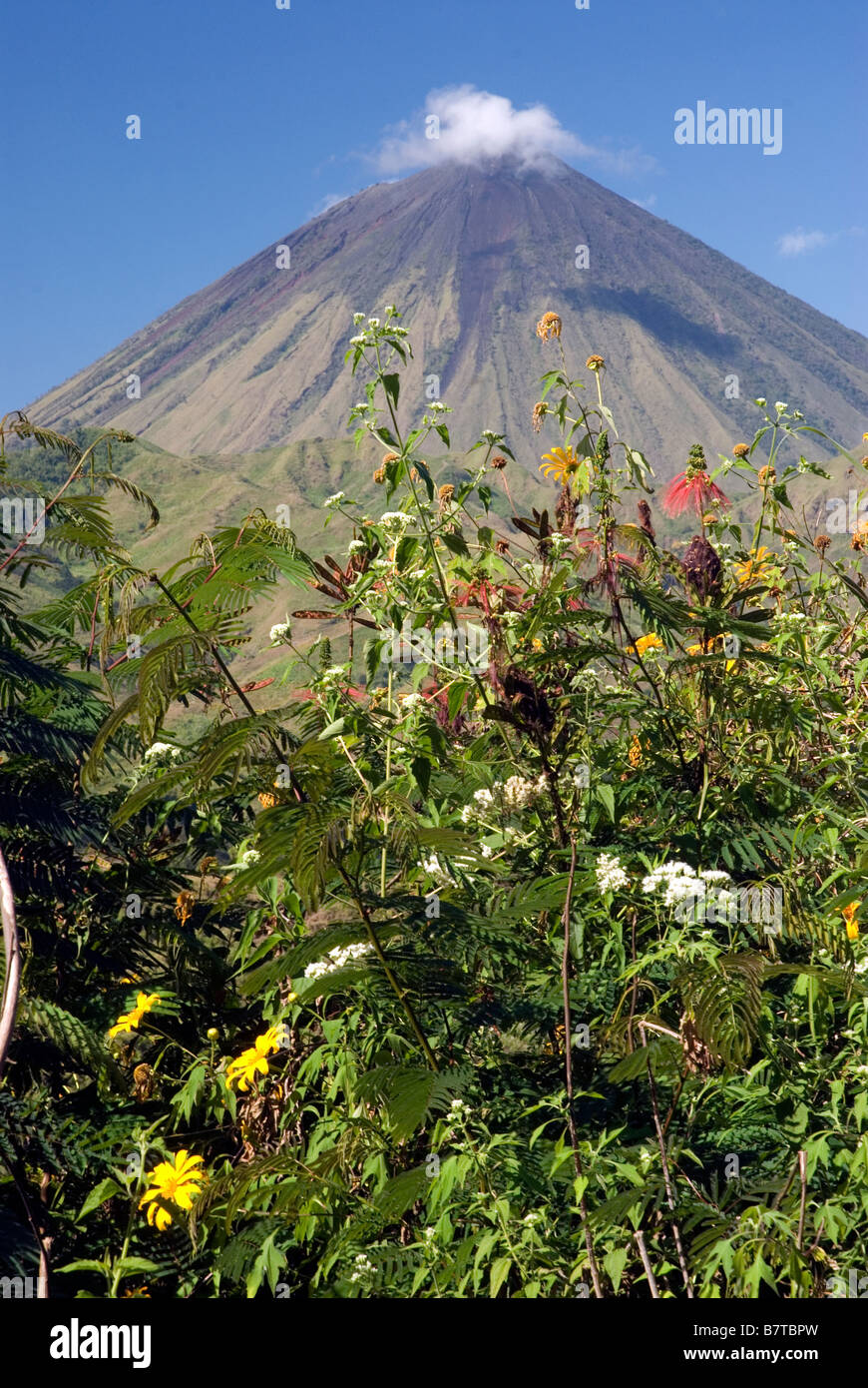 Gunung Inerie Volcano central Flores Stock Photo - Alamy
