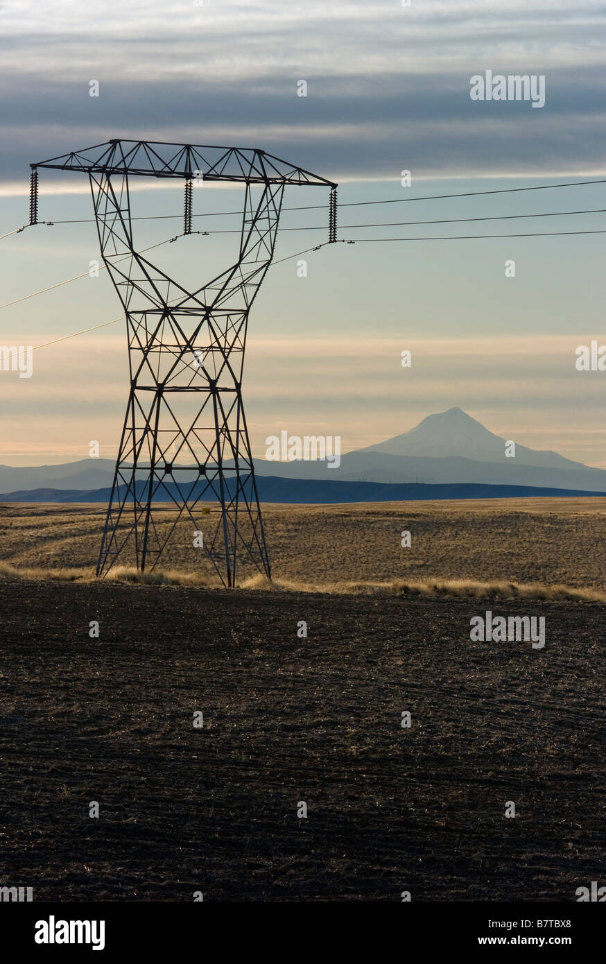 High power lines Mount Hood Oregon USA Stock Photo - Alamy