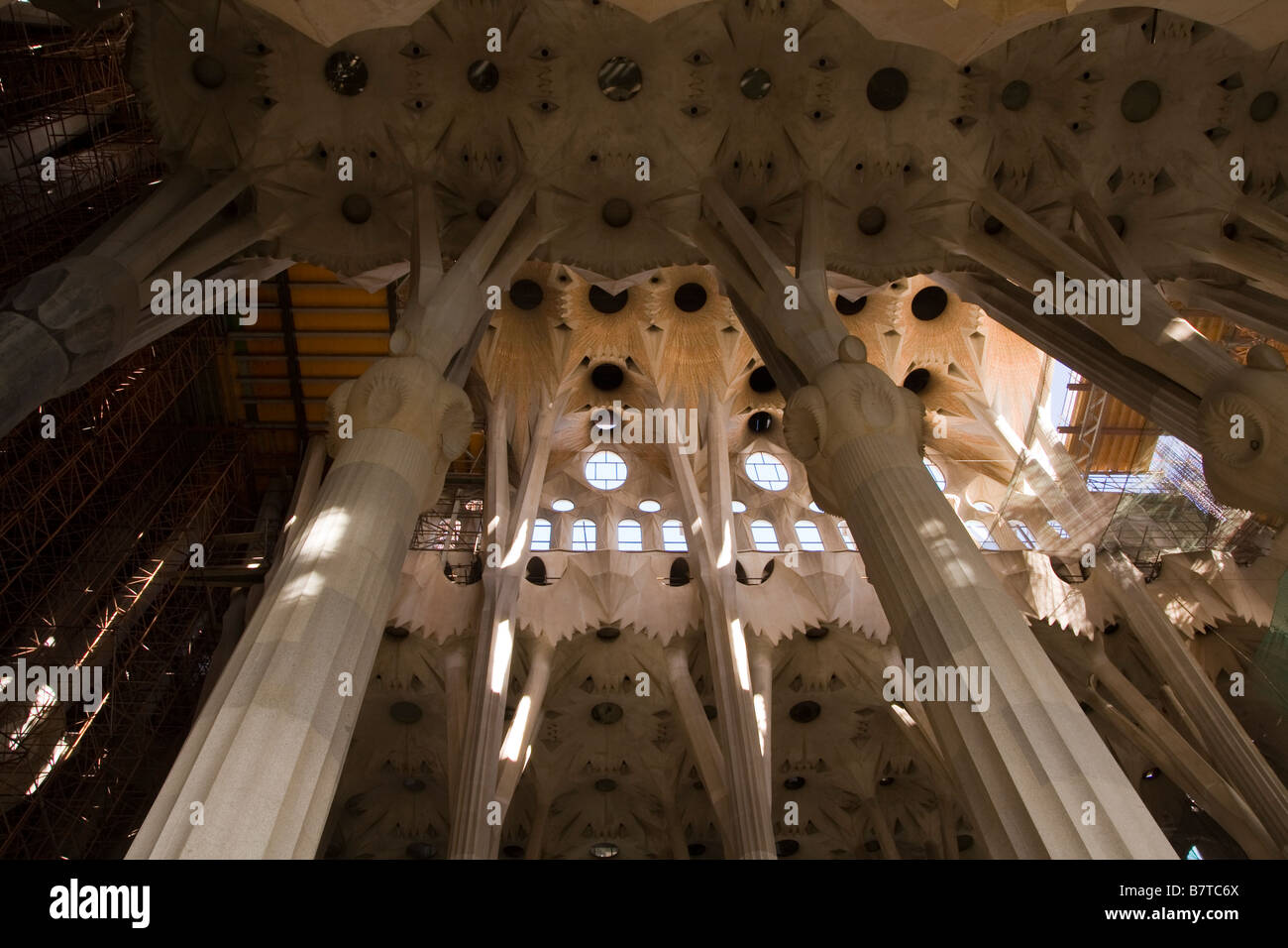 Ornate ceiling in Antoni Gaudi`s Sagrada Familia Stock Photo - Alamy
