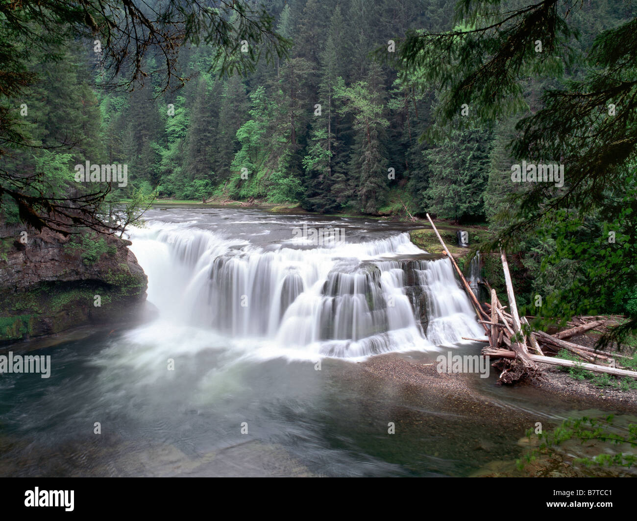 Lower Lewis Falls in the Lewis River Gifford Pinchot National Forest ...