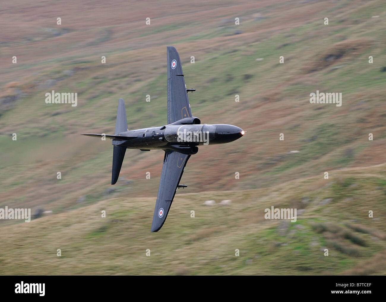 RAF Hawk low level Stock Photo - Alamy