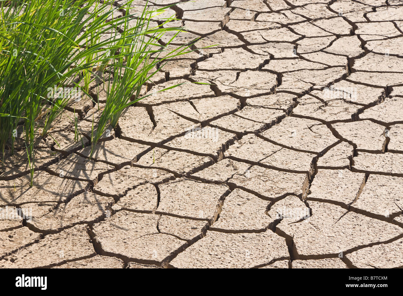 Dried river bed during drought Stock Photo - Alamy