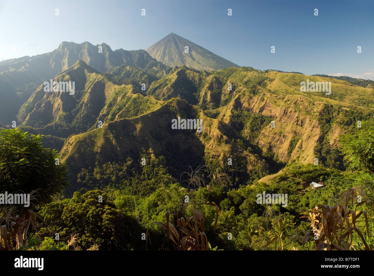 Gunung Inerie High Resolution Stock Photography and Images - Alamy