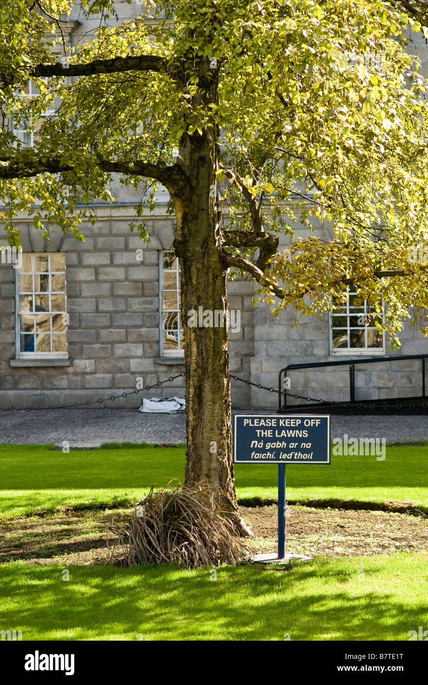 Trinity College lawn and tree, Dublin Ireland, August 2006 Stock Photo ...