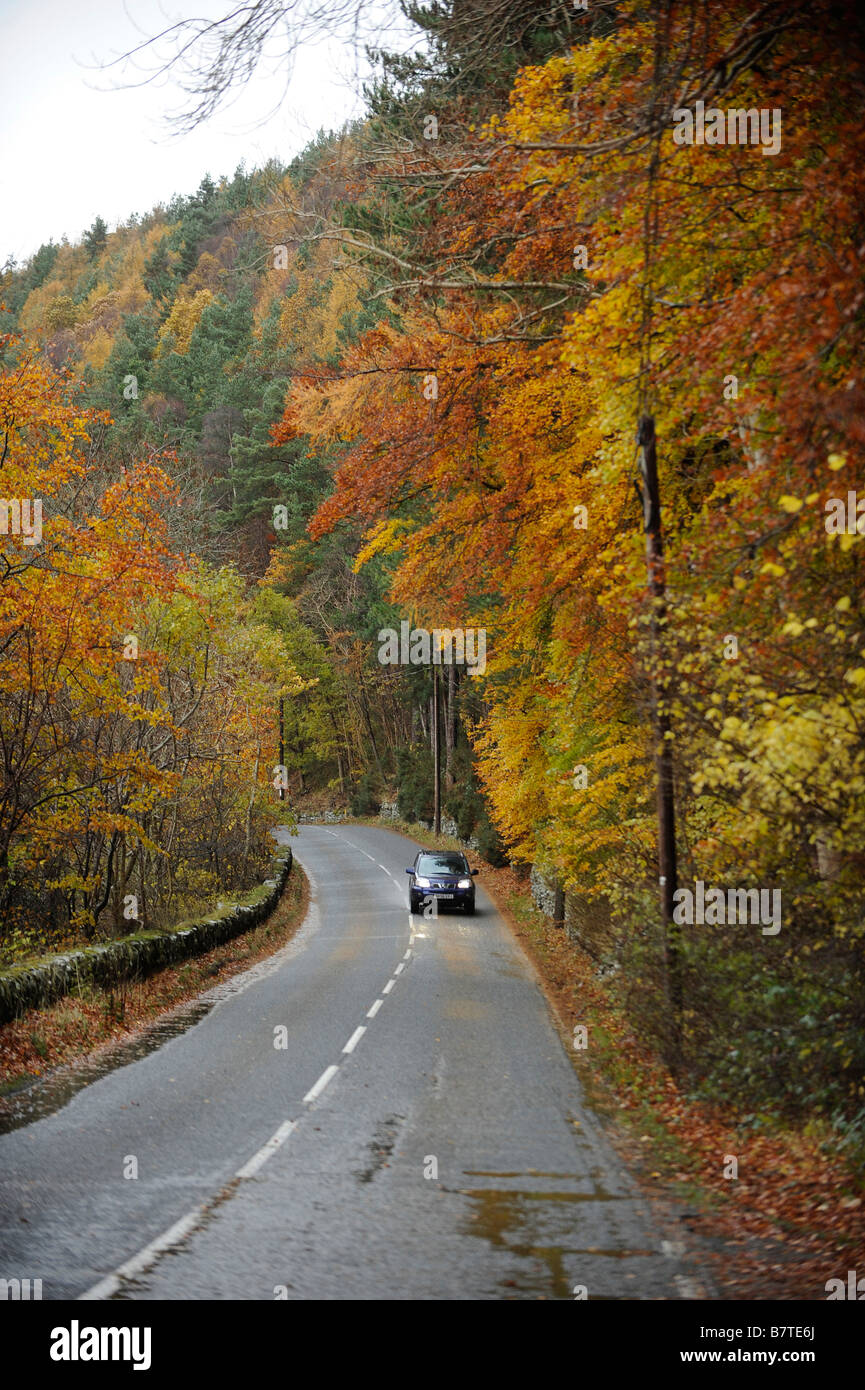 Autumn foliage leaf colours on the A707 road along the River Tweed ...