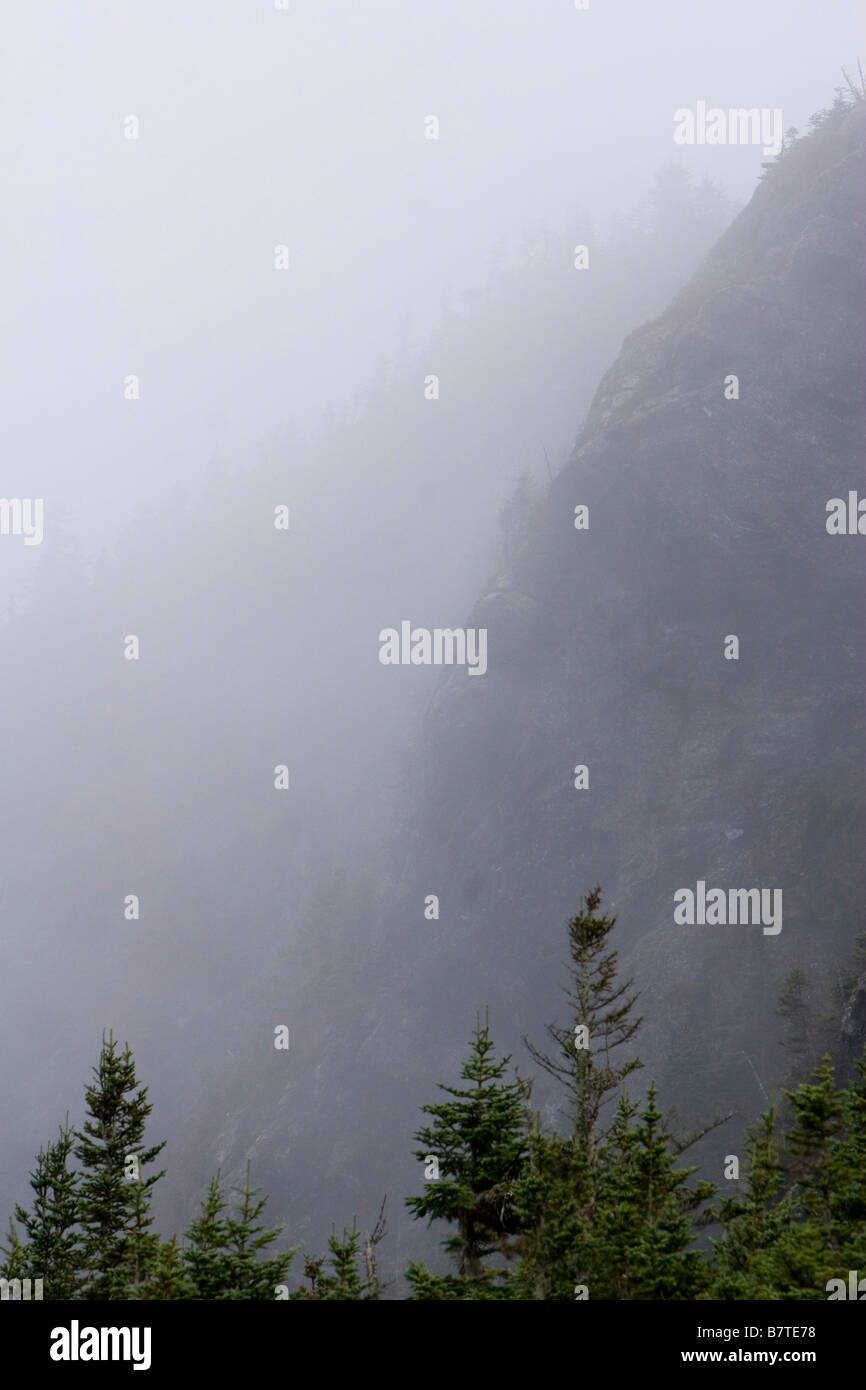 Mist shrouds the cliffs of Mount Mansfield Vermont s highest peak ...