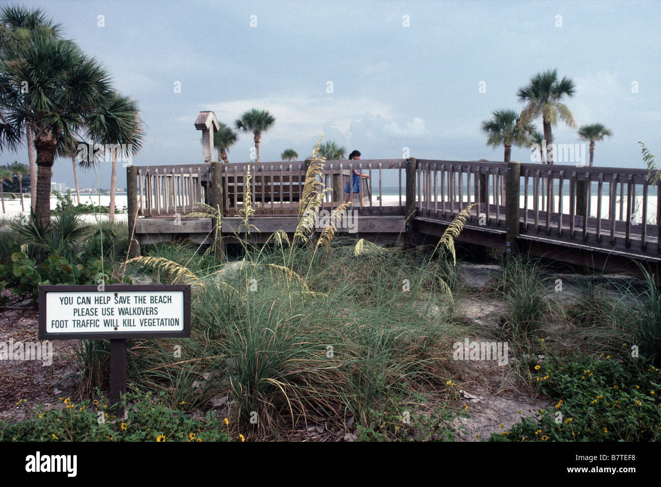 beach conservation in Florida Stock Photo - Alamy