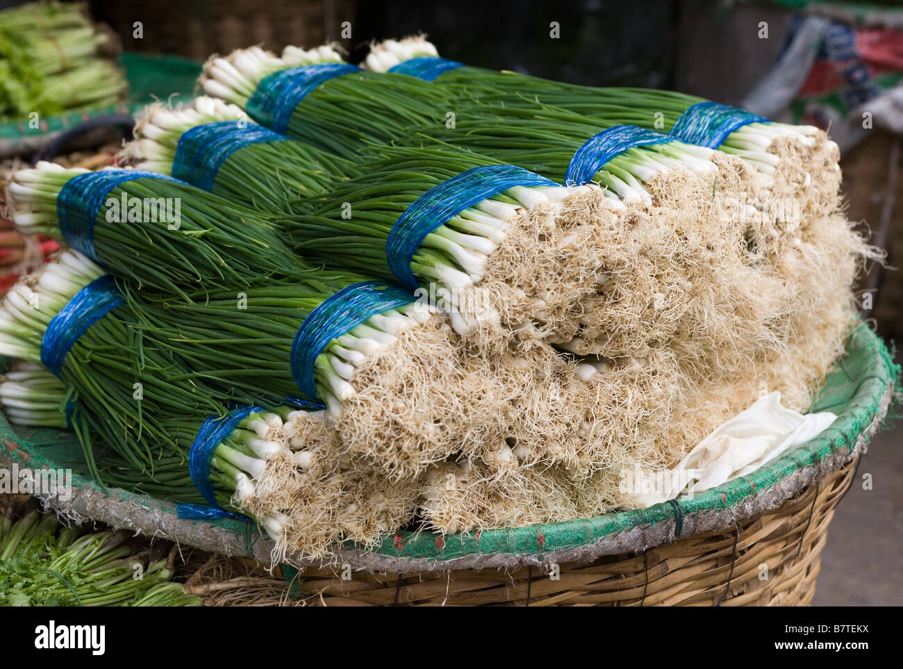 Spring Onions on Market Stall Bangkok Thailand Stock Photo - Alamy