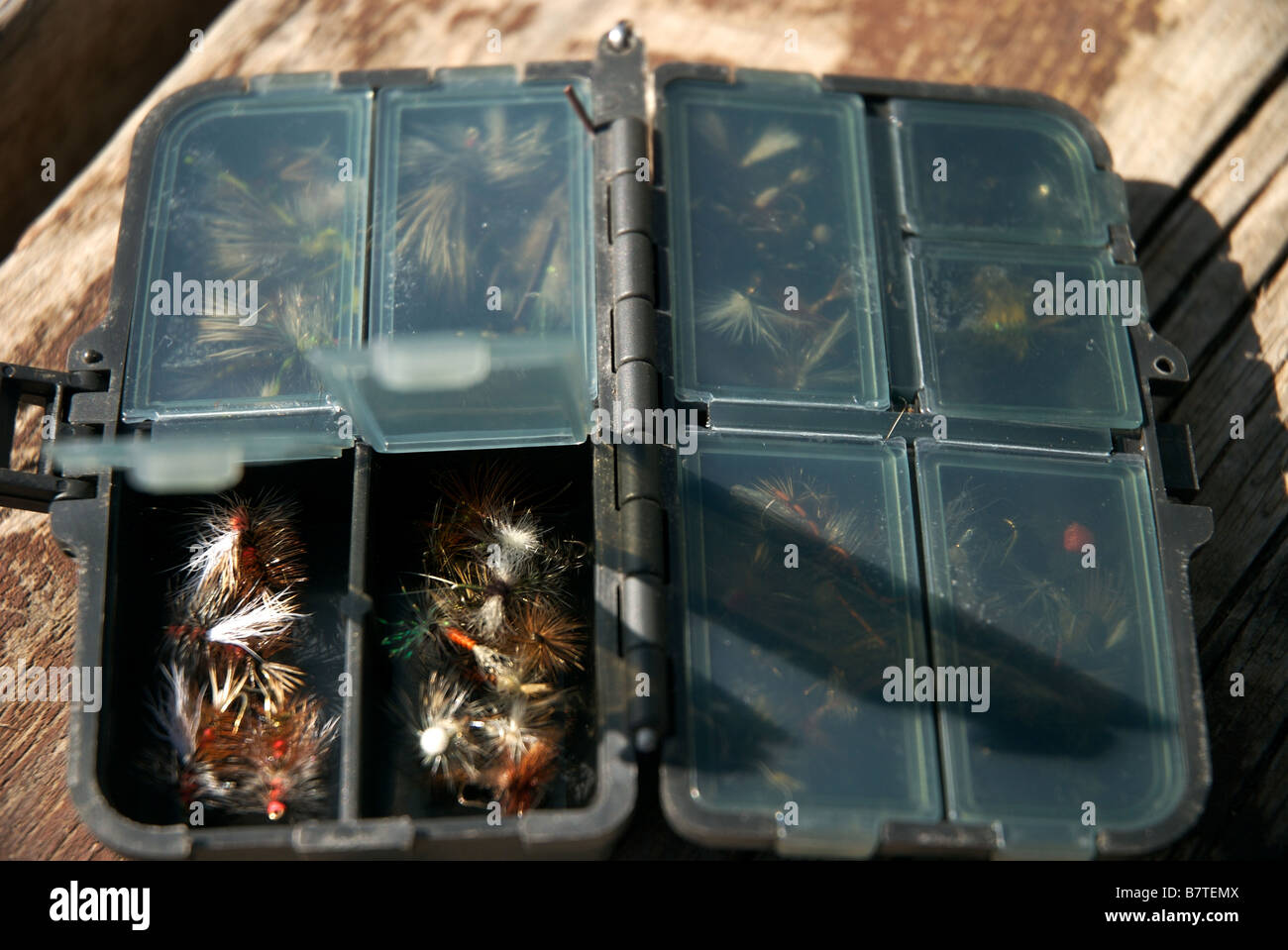 fly fly fishing fly box filled with dry flies for trout Stock Photo - Alamy