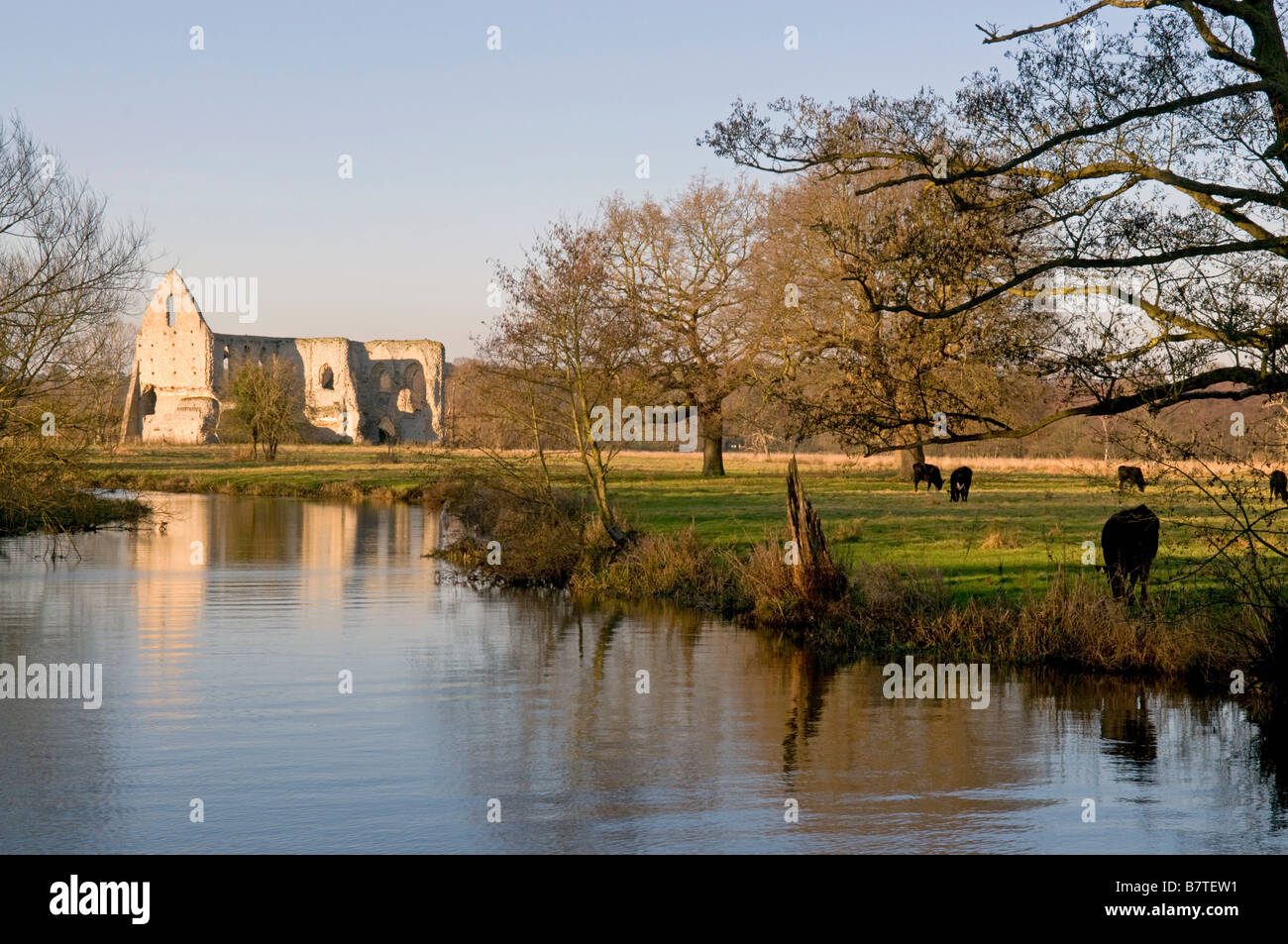 Newark Priory, Pyrford High Resolution Stock Photography and Images - Alamy