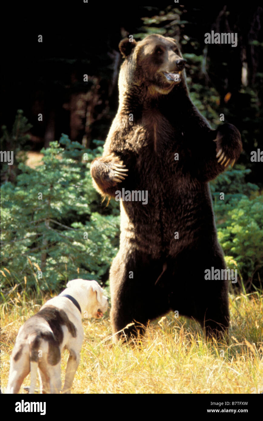 The incredible journey hi-res stock photography and images - Alamy