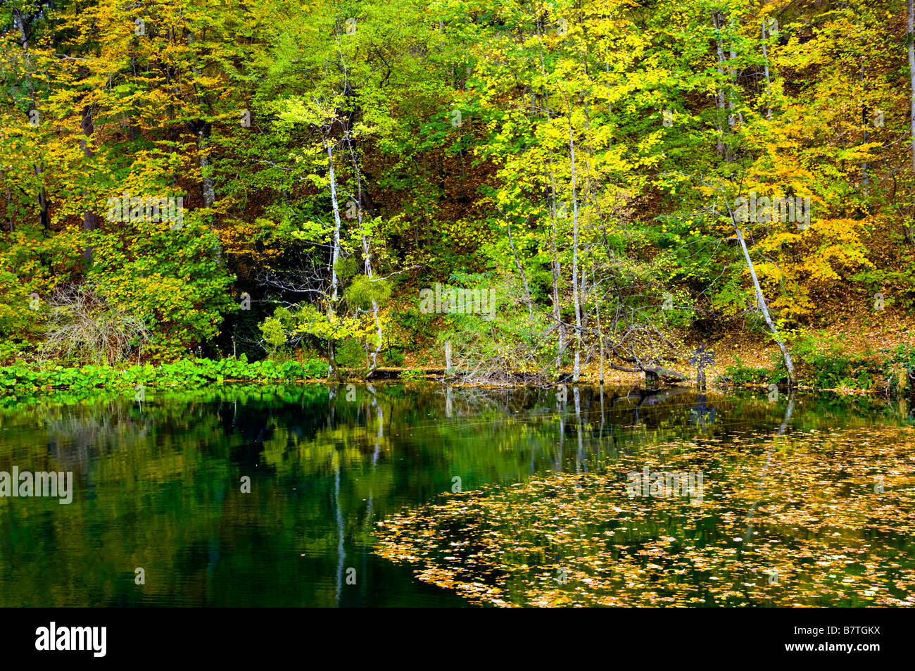 Fall foliage color in Plitvice Lakes National Park Croatia Stock Photo ...