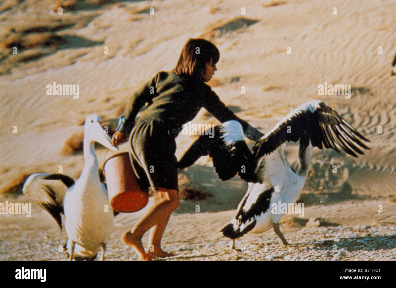 Storm boy 1976' hi-res stock photography and images - Alamy