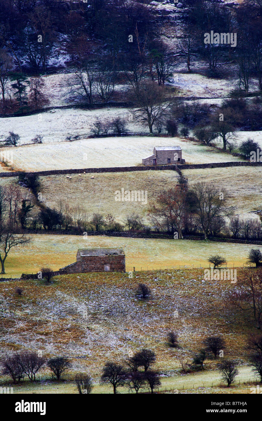 Barns on the slopes of Pen Hill Wensleydale Yorkshire Dales England ...