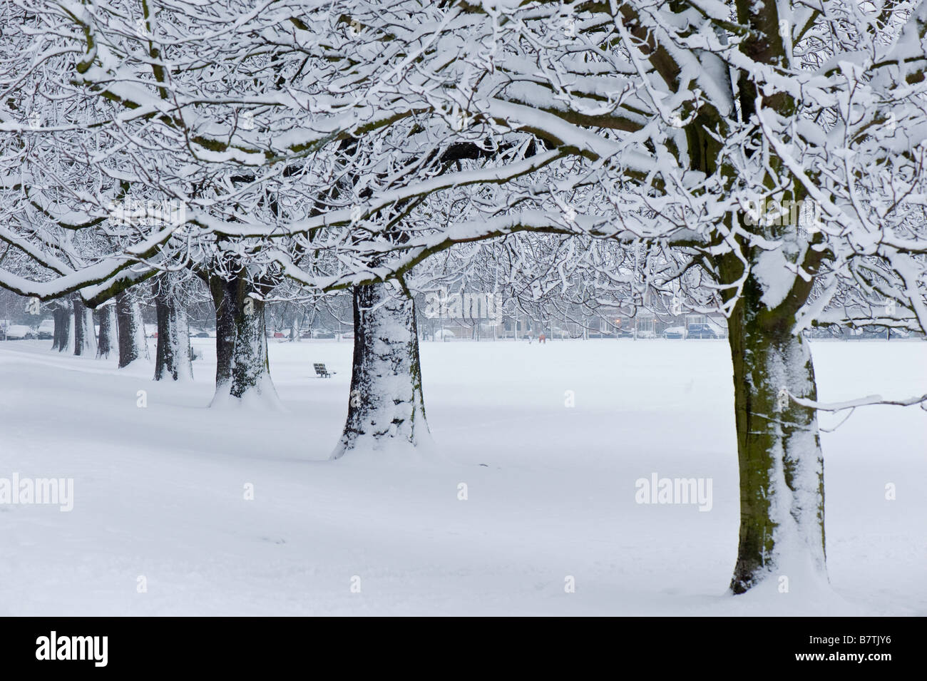 Ealing Common covered in snow February Ealing W5 London United Kingdom ...