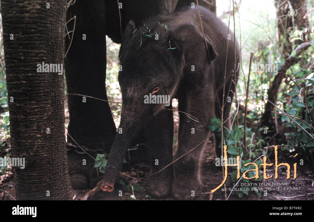 Philippe gautier hi-res stock photography and images - Alamy