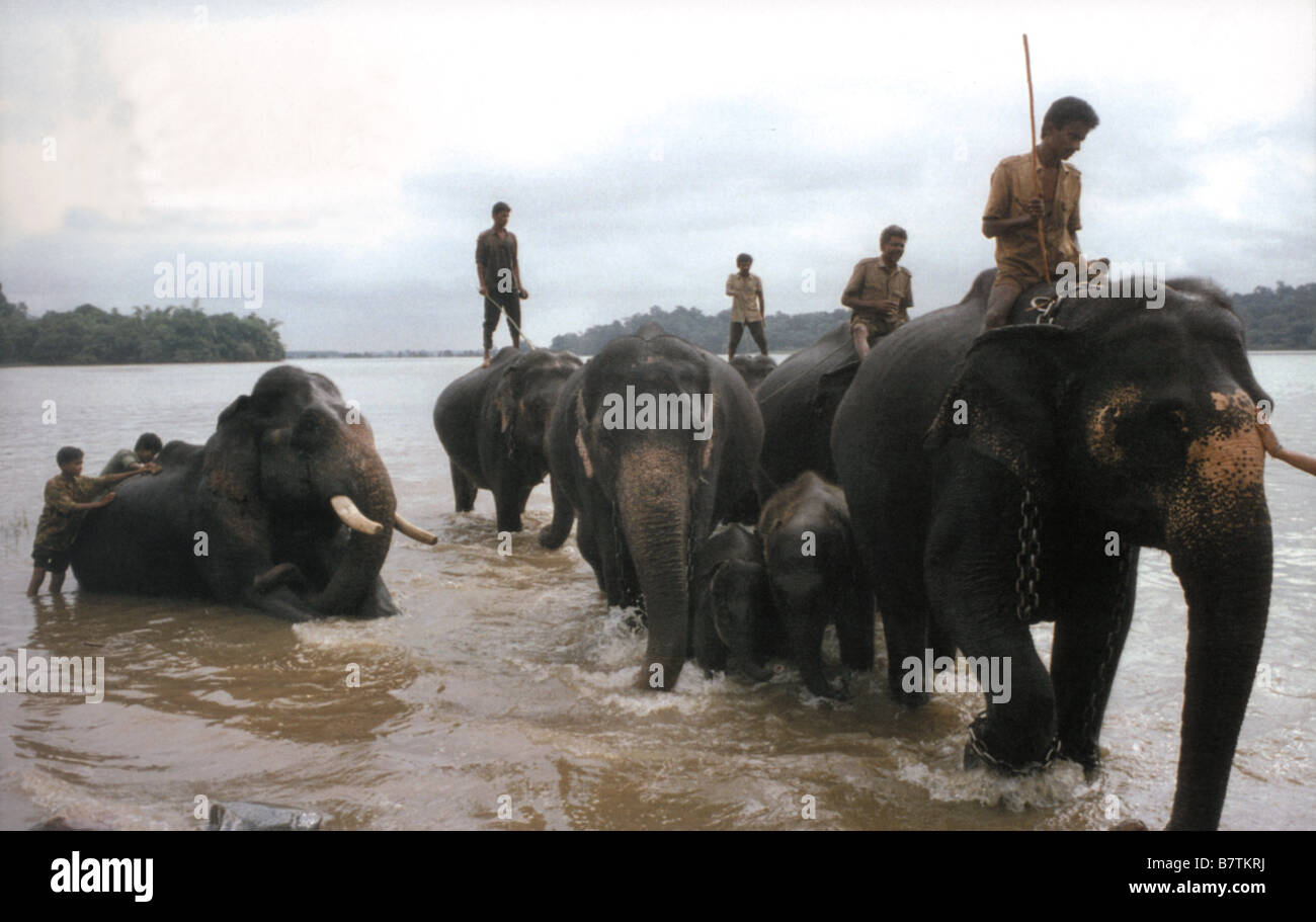 Hathi Hathi Year: 1998 - Canada Director: Philippe Gautier Stock Photo ...