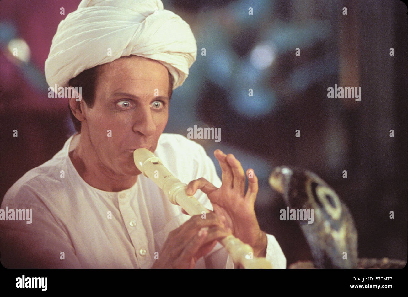 Le Maître du Déguisement The Master of Disguise Year: 2002 USA Dana ...