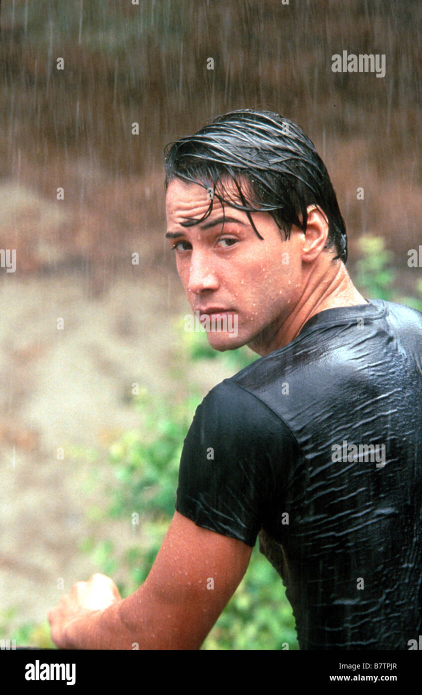 Point Break Year: 1991 USA Keanu Reeves Director: Kathryn Bigelow Stock ...