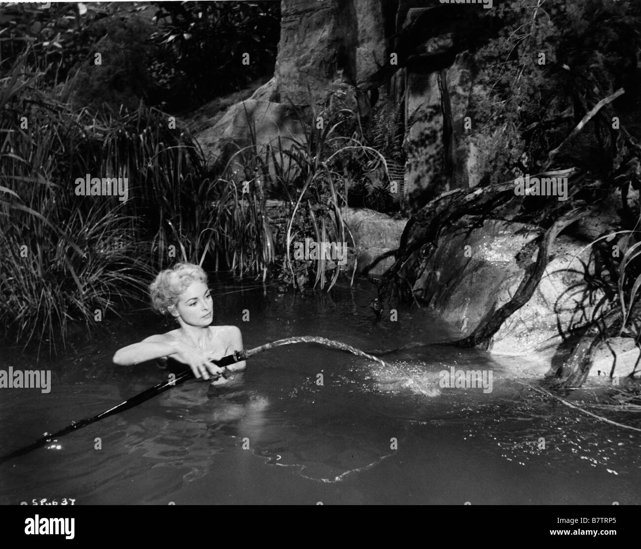 Terence young hi-res stock photography and images - Alamy