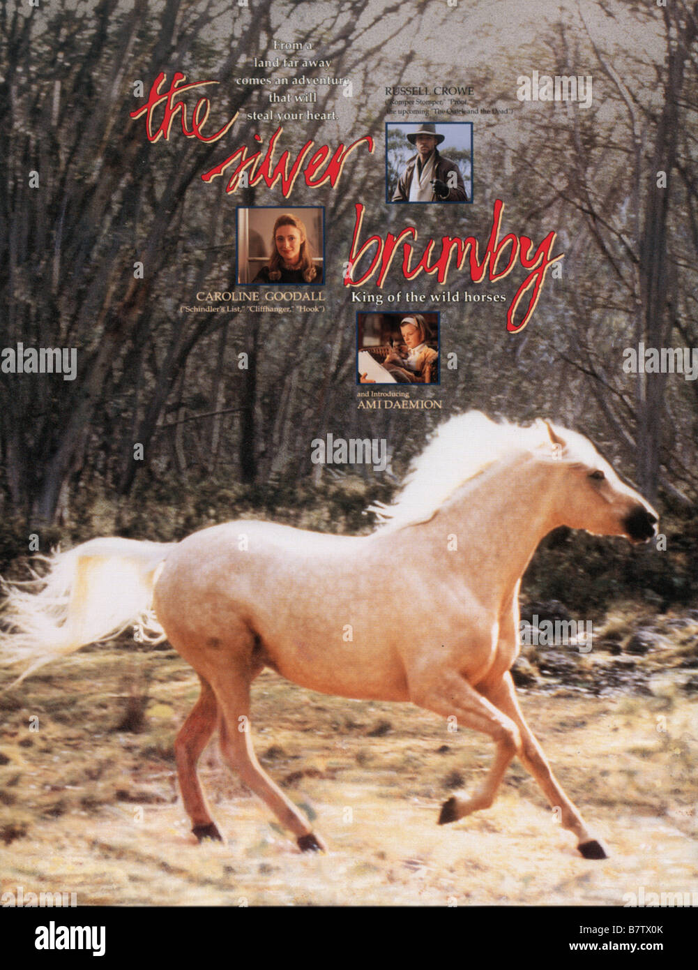 John brumby hi-res stock photography and images - Alamy