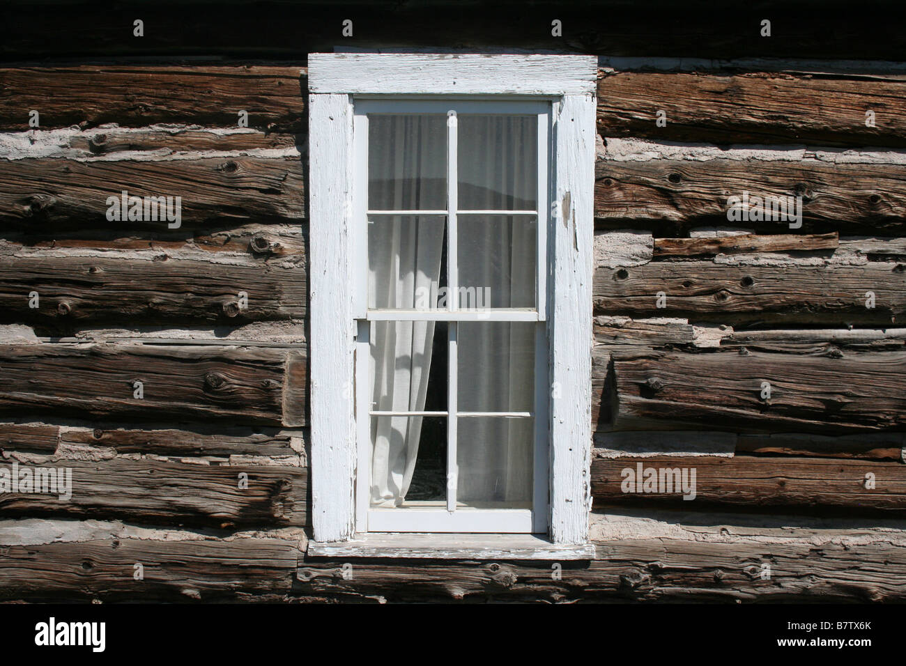 window of pioneer homestead cabin in Florrisant Fossil Beds National ...