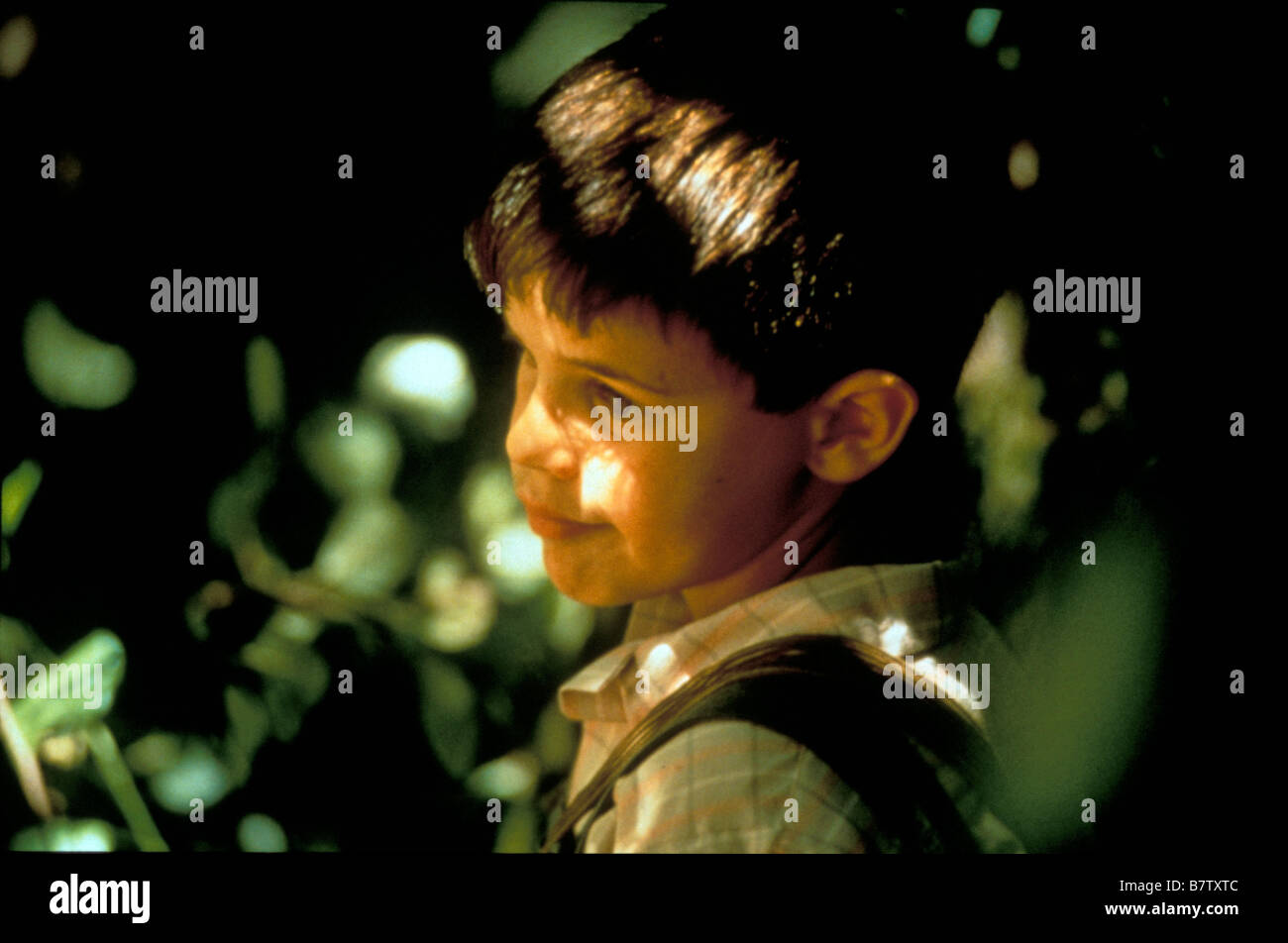 Lengua de mariposas hi-res stock photography and images - Alamy