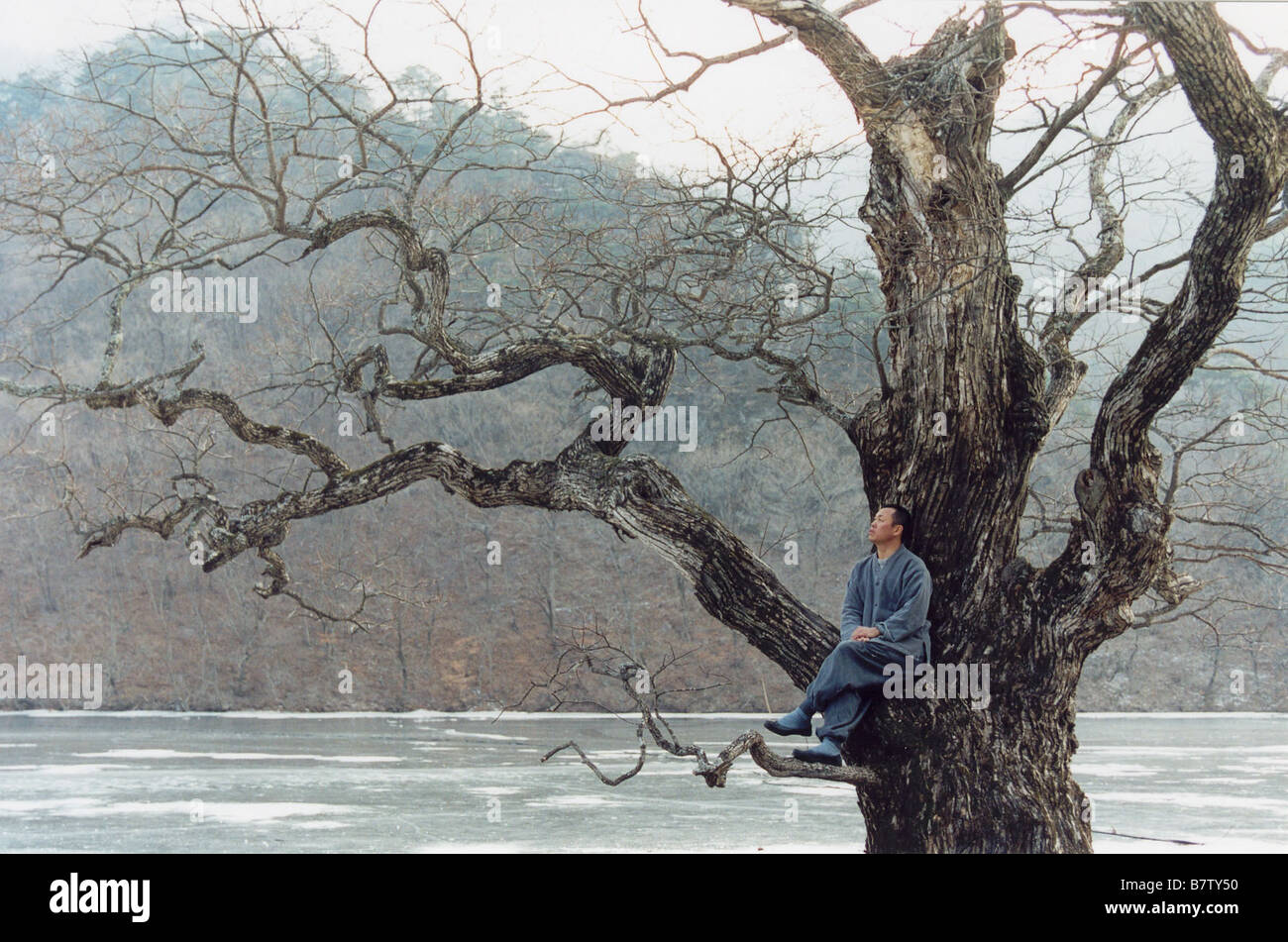Arbre ki hi-res stock photography and images - Alamy