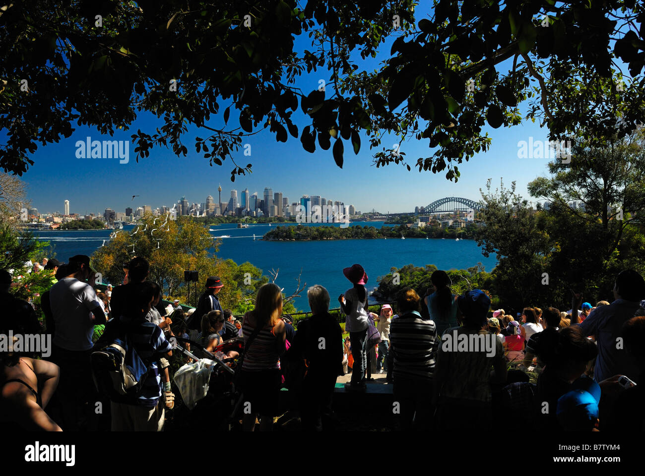 Taronga park zoo hi-res stock photography and images - Alamy