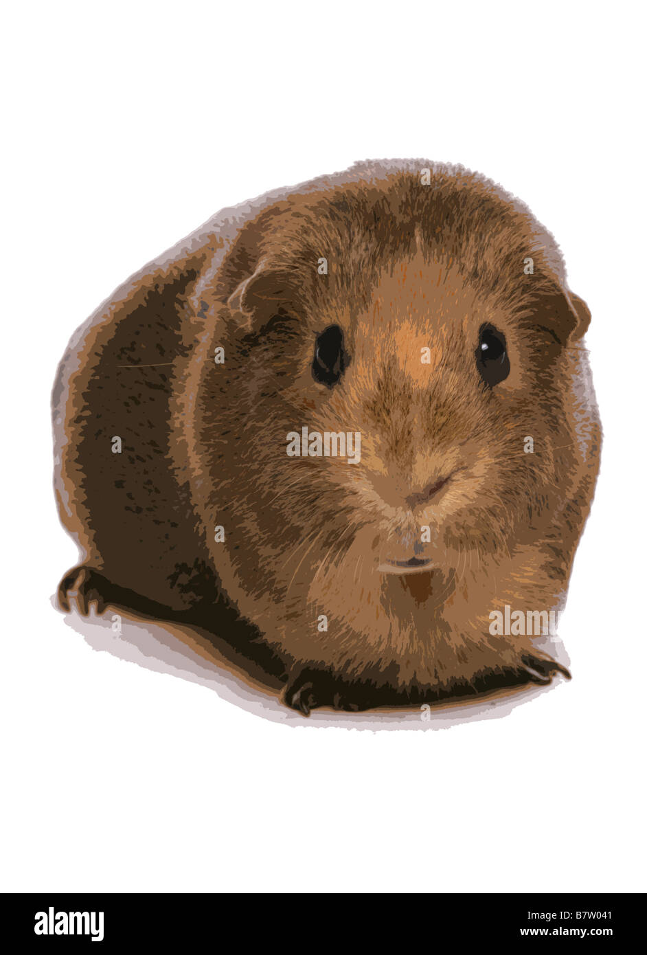 Bold abstract portrait Cut Out Stock Images & Pictures - Alamy