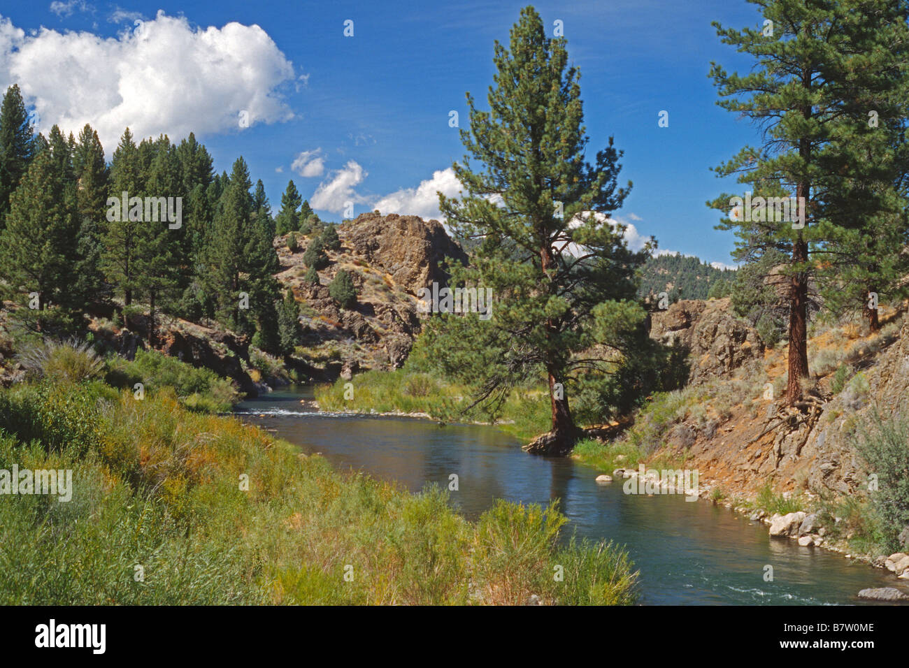 East Carson River in the Sierra Nevada foothills, California Stock ...