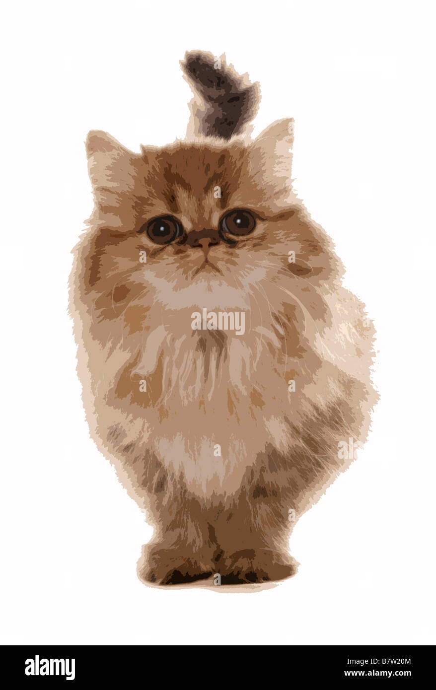 Bold abstract portrait Cut Out Stock Images & Pictures - Alamy